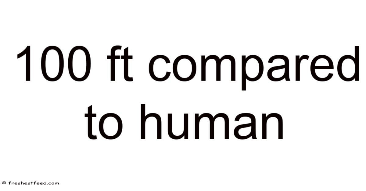 100 Ft Compared To Human