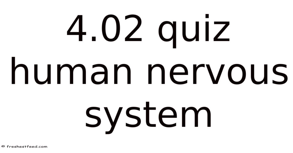 4.02 Quiz Human Nervous System