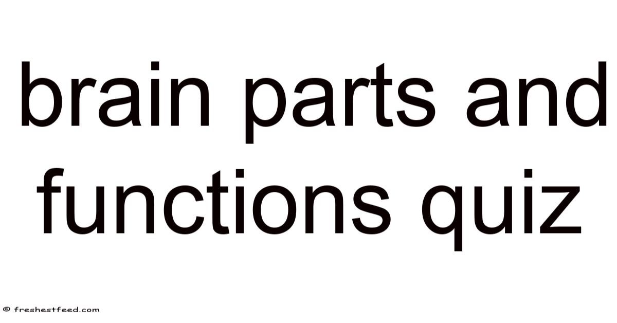 Brain Parts And Functions Quiz