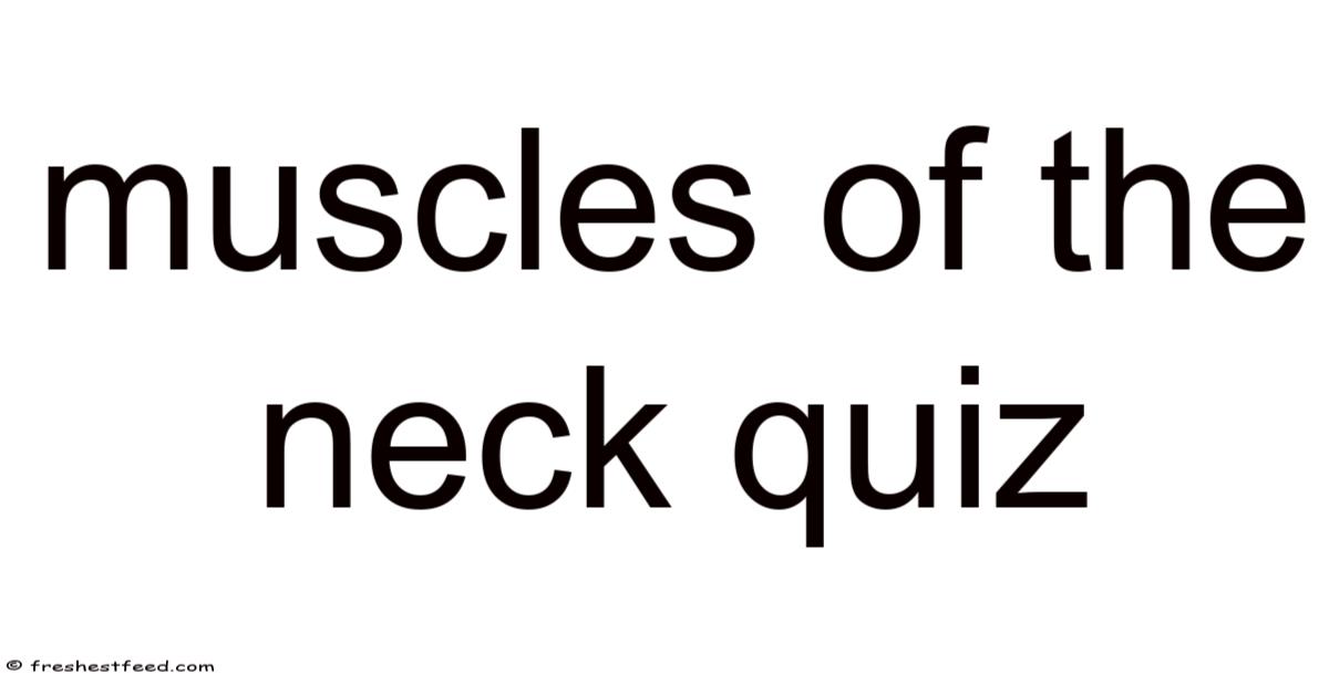 Muscles Of The Neck Quiz