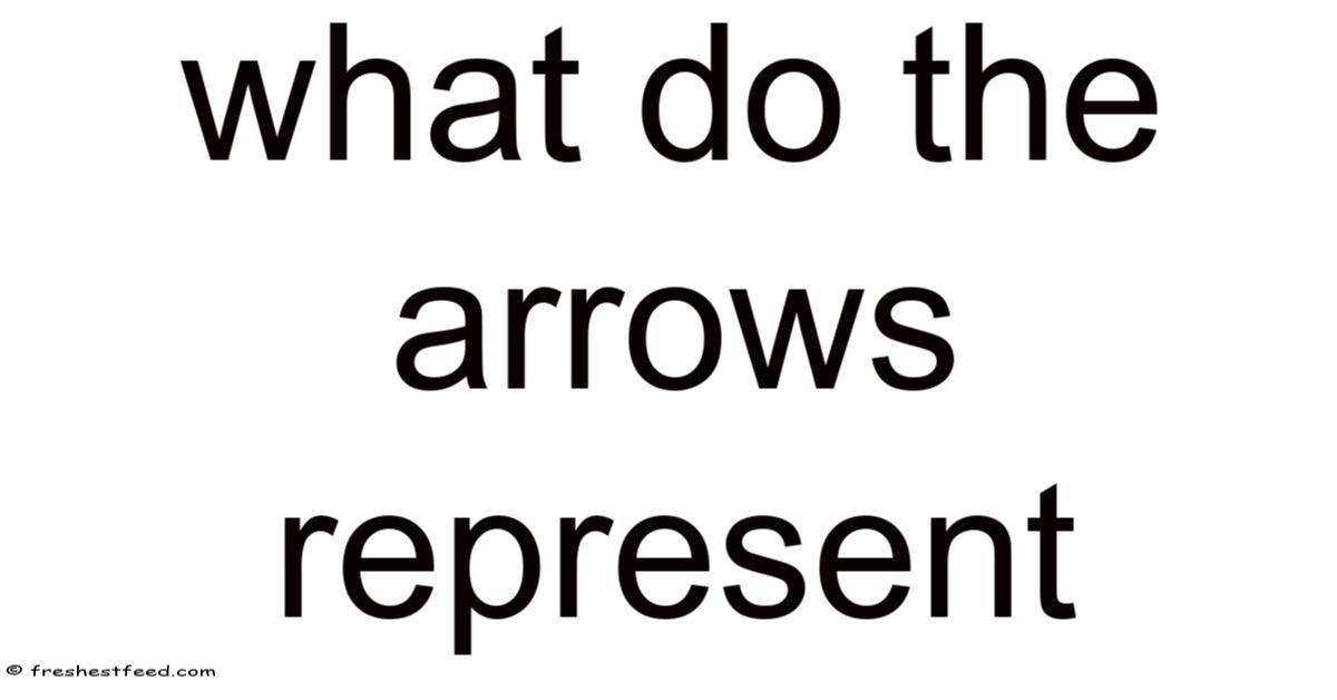 What Do The Arrows Represent
