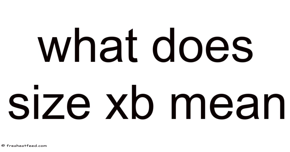 What Does Size Xb Mean
